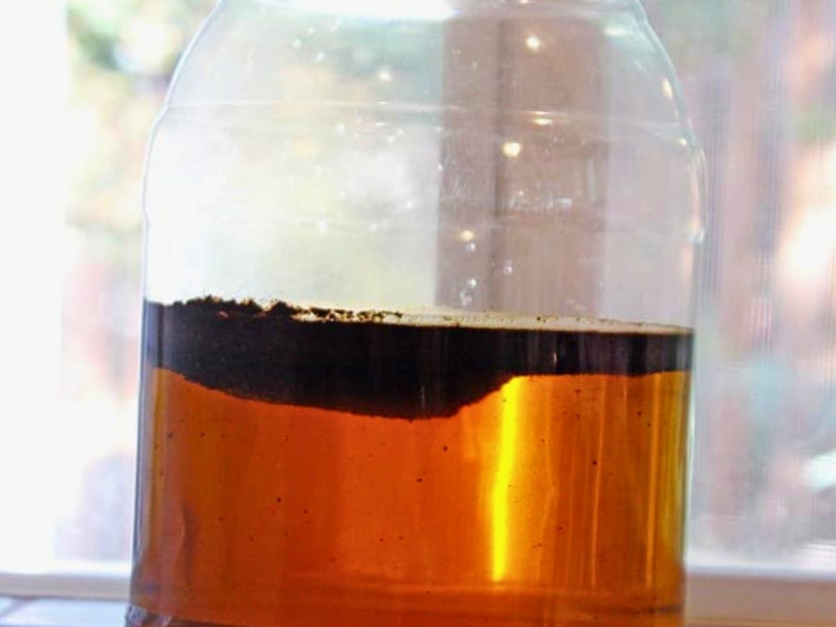 Iced Sea Salt Coffee (Cold Brewed) Recipe - Dinner, then Dessert