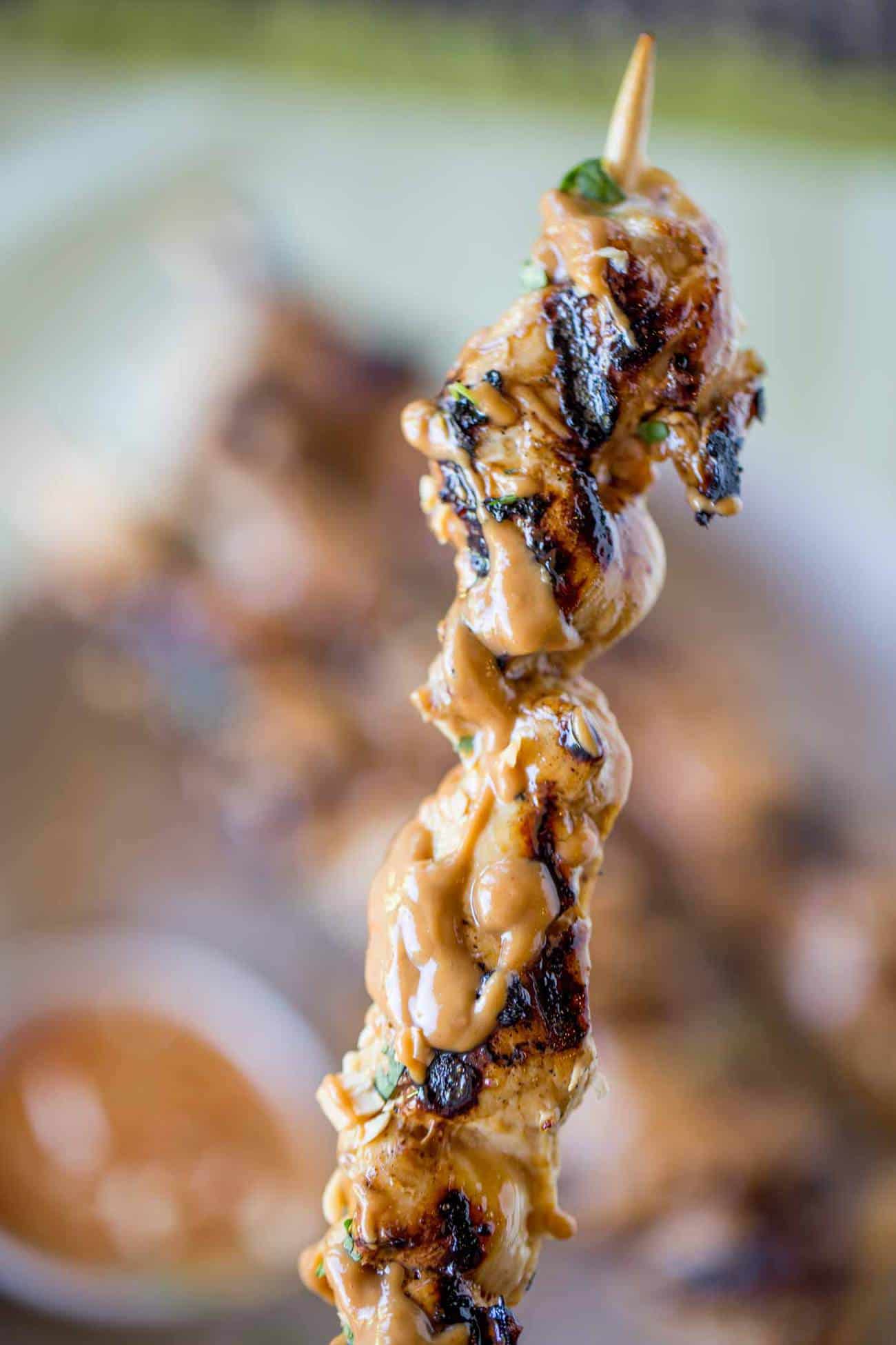 Chicken Satay with Peanut Sauce Recipe - Dinner, then Dessert