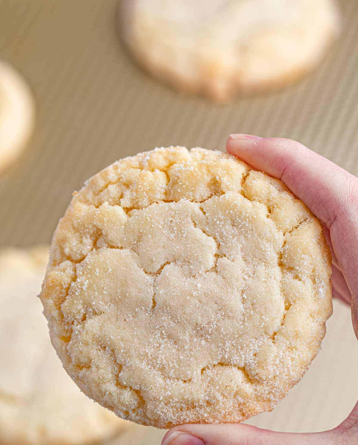 Cake Mix Cookies (4 Ingredients!) - Dinner, then Dessert