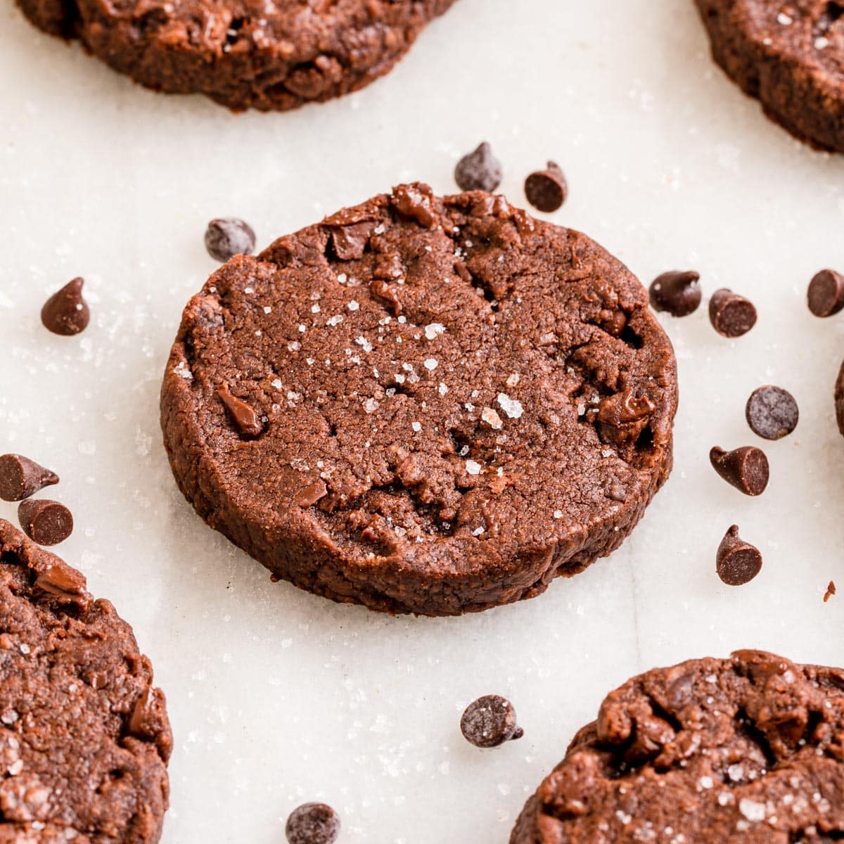 Salted Double Chocolate Shortbread Cookies Recipe - Dinner, then Dessert