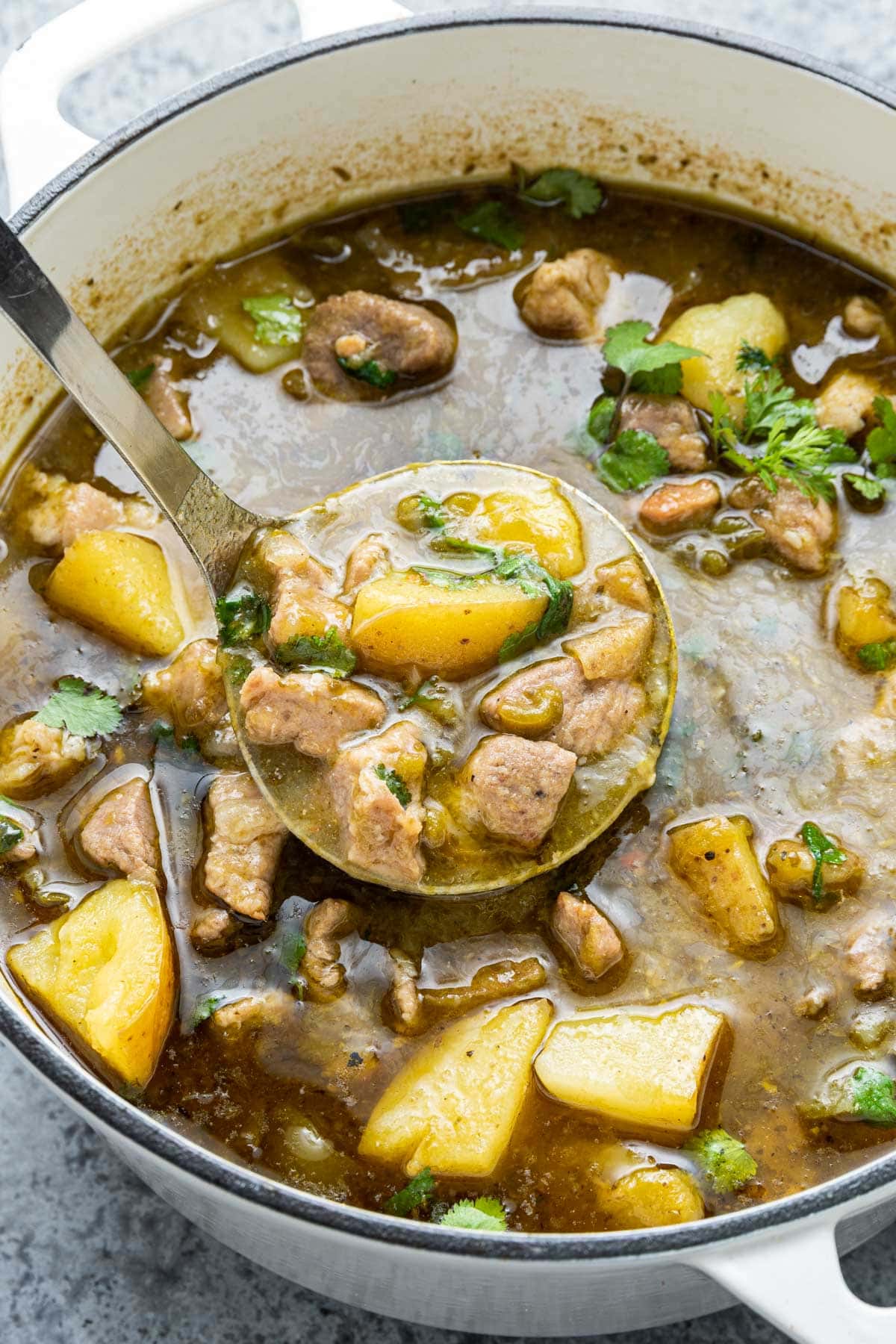 Easy Green Chili Stew Recipe - Dinner, then Dessert